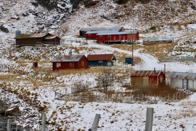Svartskogen / Čáhput - Nordlige folk